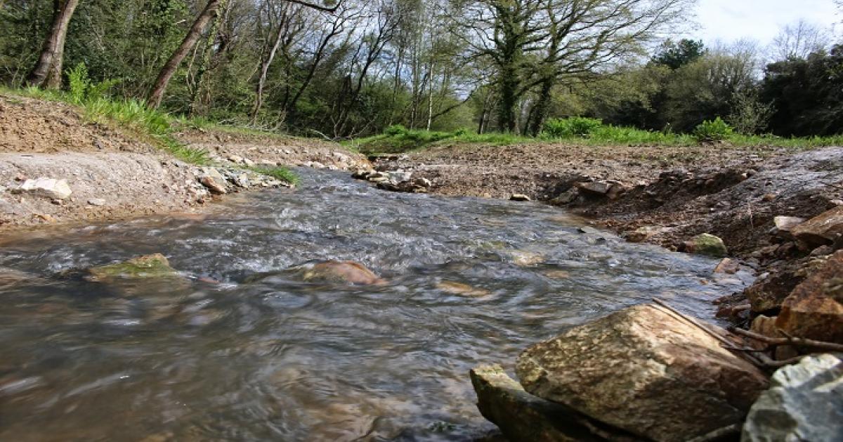 Des cours d’eau restaurés pour préserver l’eau et la biodiversité ...